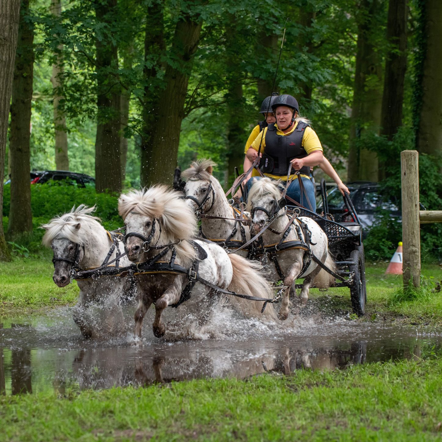 Sascha en haar viertal: Het werkt als een malle! - Hoof Armor Benelux